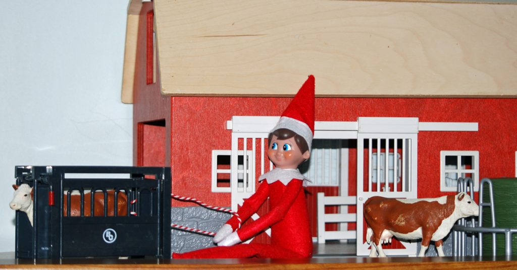 12 Fun and Easy Elf on the Shelf Ideas - Ranching with Kids