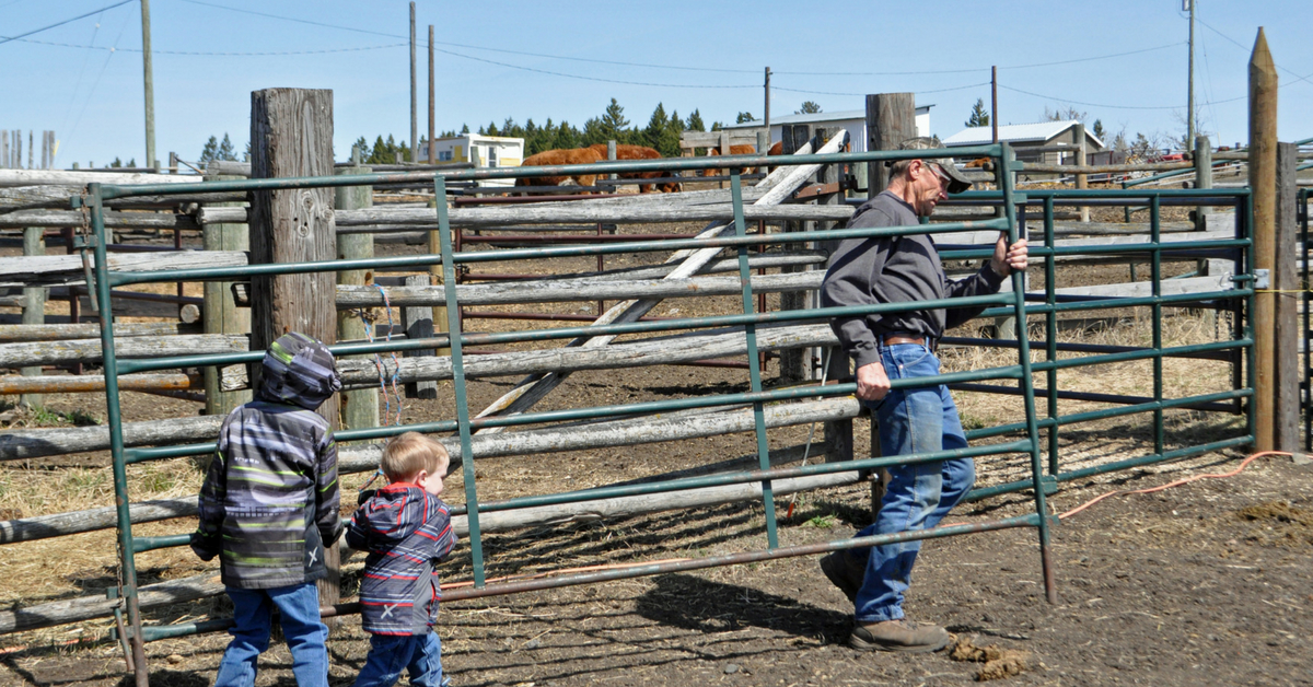 A Day in the Life of a Ranch Mom - May 2018 - Ranching with Kids