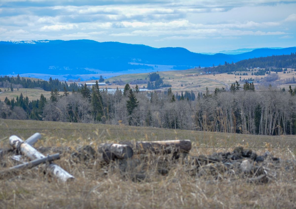 Spring on the Ranch - Ranching with Kids