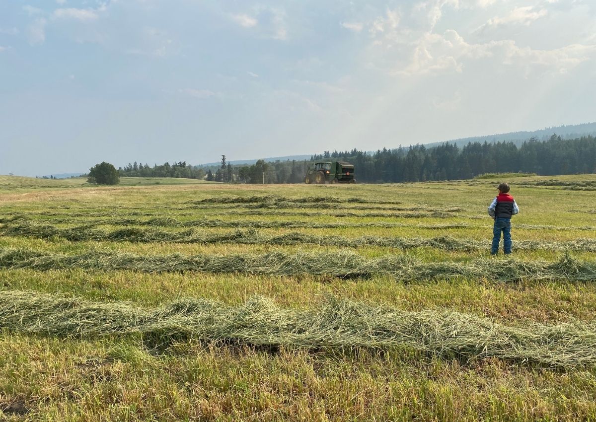 Day in the Life - July 2021 - Ranching with Kids