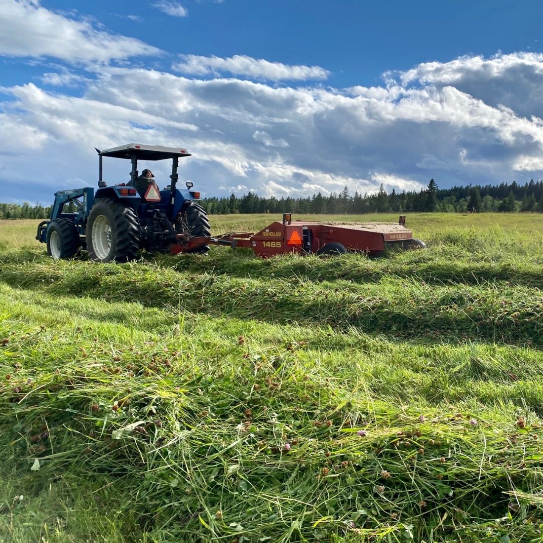 5 Tips to Help with a Successful Haying Season - Ranching with Kids