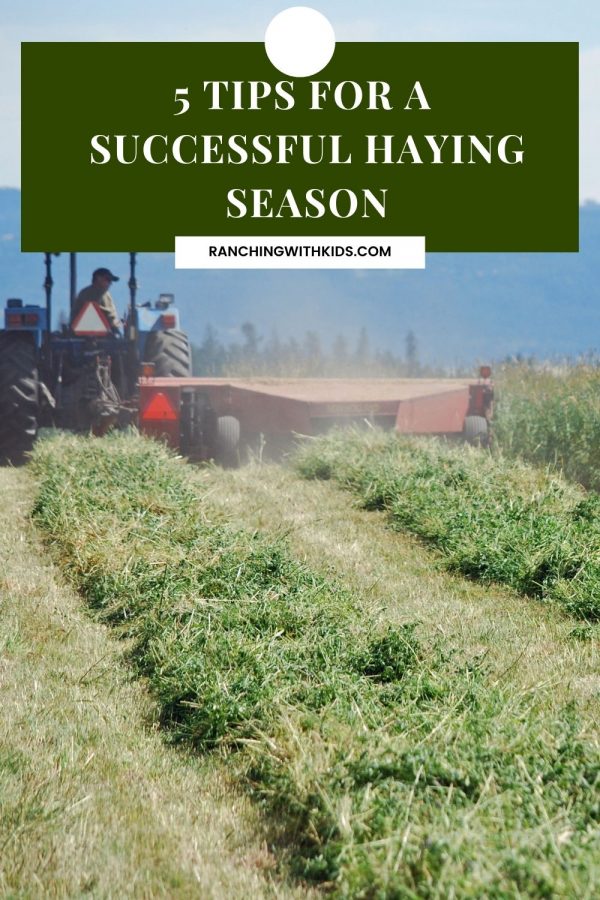 5 Tips to Help with a Successful Haying Season - Ranching with Kids